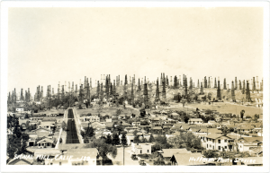 Photo Gallery | Signal Hill History